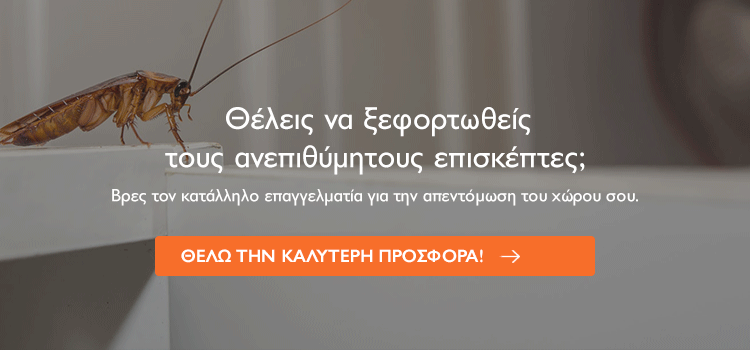 Παγίδες για Ποντίκια: Όλοι οι τρόποι να Απαλλαγείς! | Douleutaras